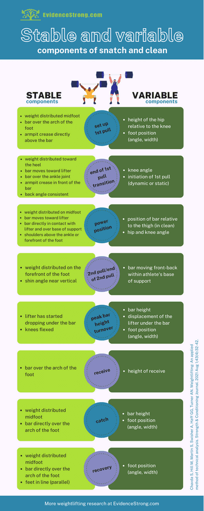 Stable and variable components of the lifts in Olympic weightlifting ...